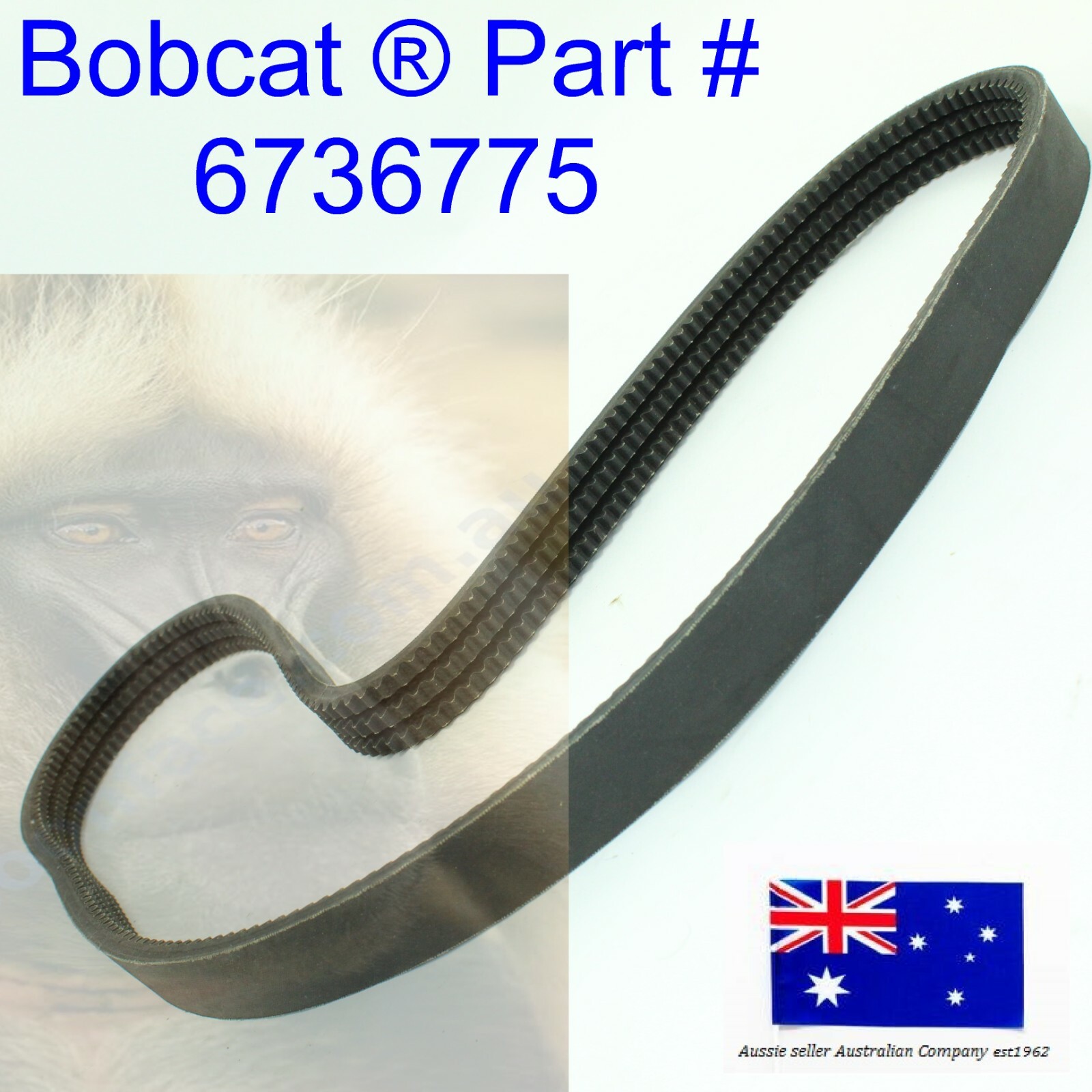 fits Bobcat Main Hydraulic Pump EPDM Drive Belt 6736775 S130 S150 S160 ...