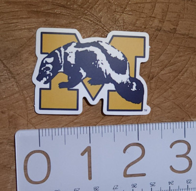 🏈MICHIGAN STICKER NCAA Michigan Decal University of Michigan Wolverines ...