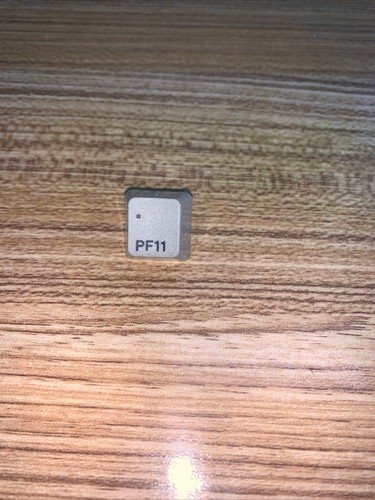 IBM Model M F F122 SSK Keyboard Keycaps Buckling Spring Caps Genuine | eBay