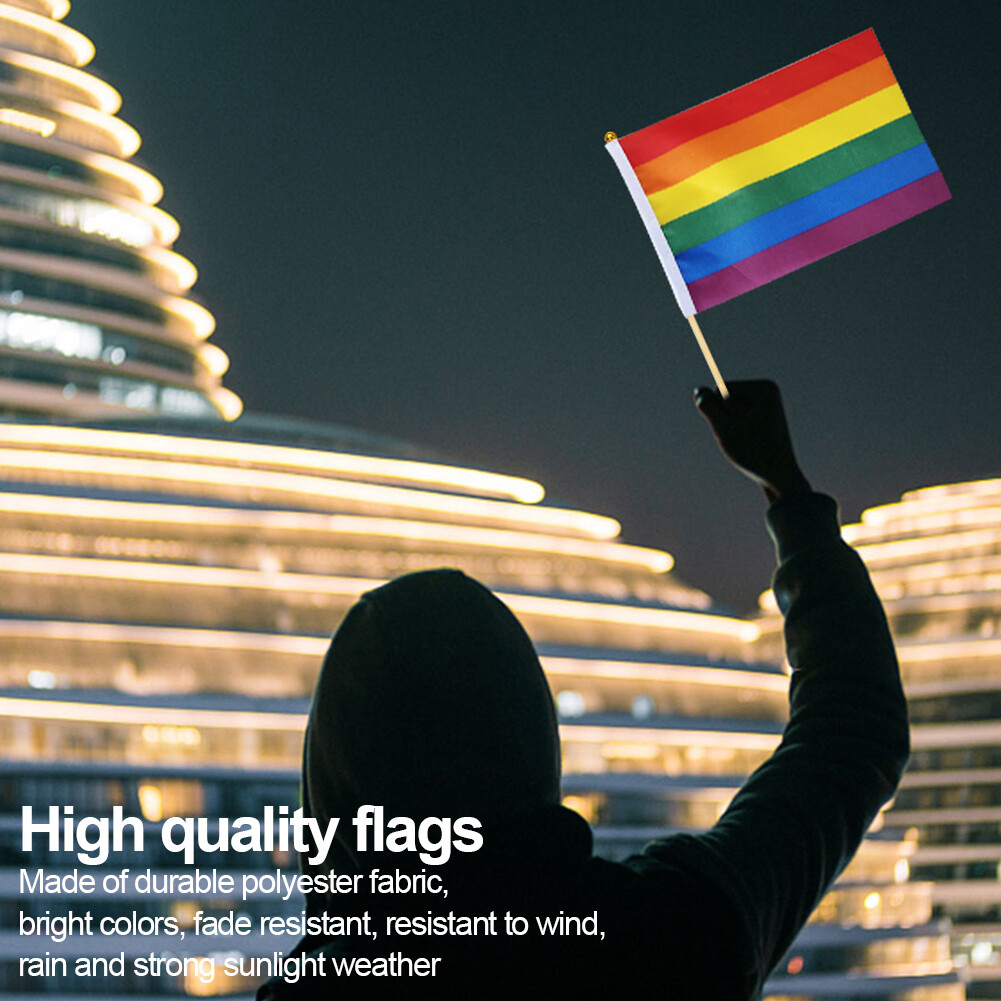 20X28cm Handheld Rainbow Flag Vivid Color for Home/Outdoor Decor ...