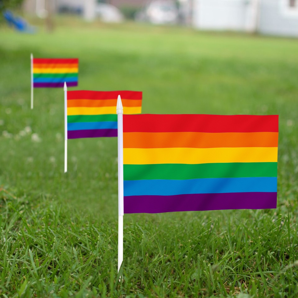 Anley Rainbow Gay Pride Mini Flag 12 Pack - Hand Held Small Miniature ...