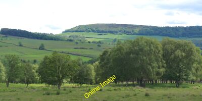 Photo 6x4 Birch scrub, Pit Hill Fadmoor Scrubby birch woodland invading ...