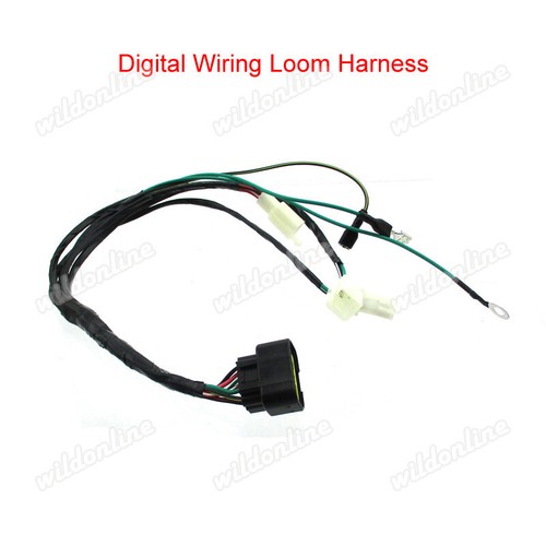 Zongshen Digital Wiring Loom Harness 125ho For 140cc Z155 155cc Pit ...