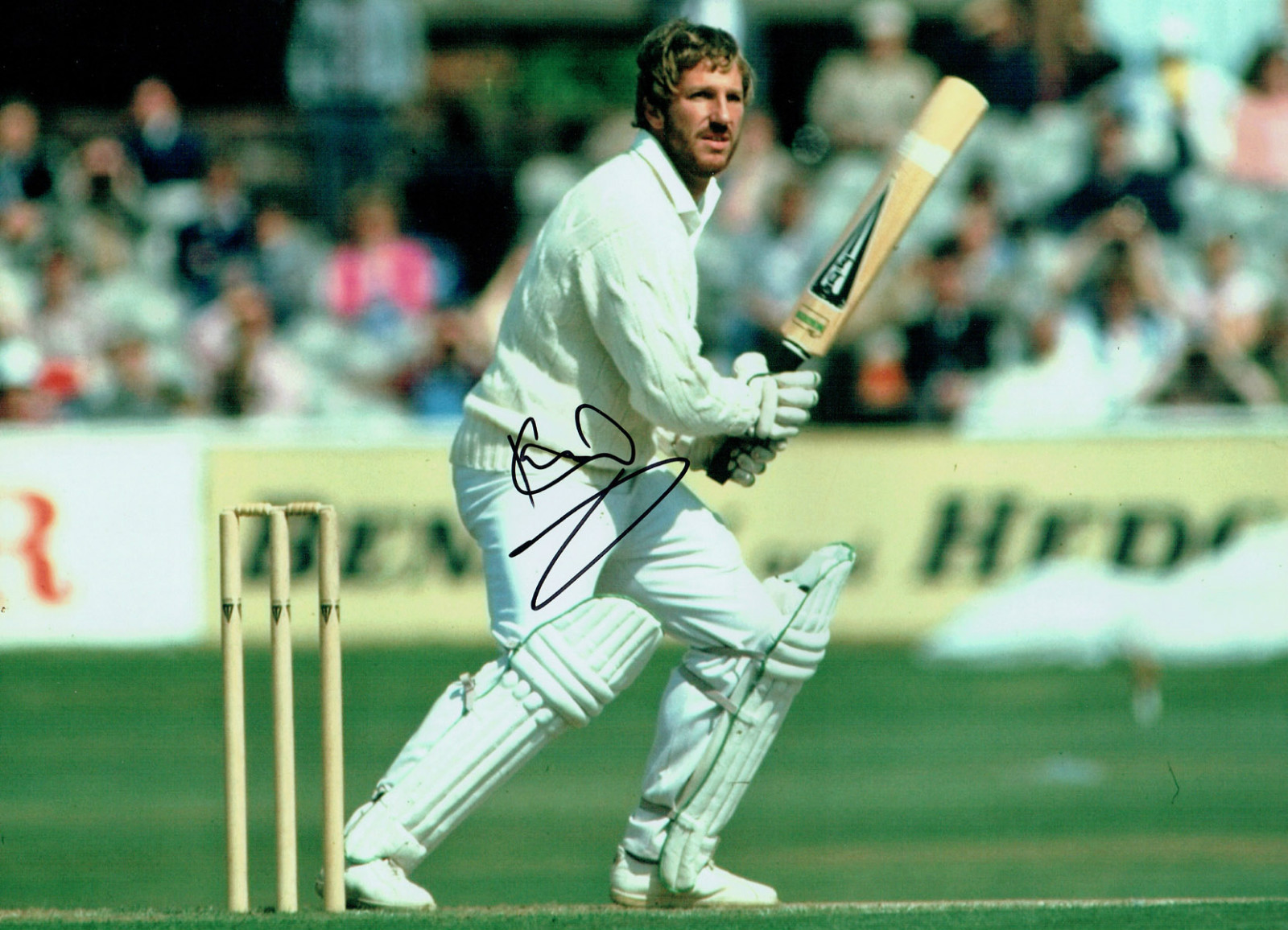 Ian BOTHAM Signed Autograph 16x12 Cricket Photo England Batsman +Dealer ...