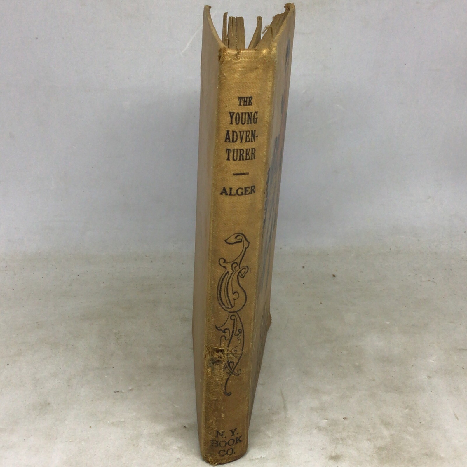 Antique 1910 The Young Adventurer By Horatio Alger Jr. Hardcover 1st ...