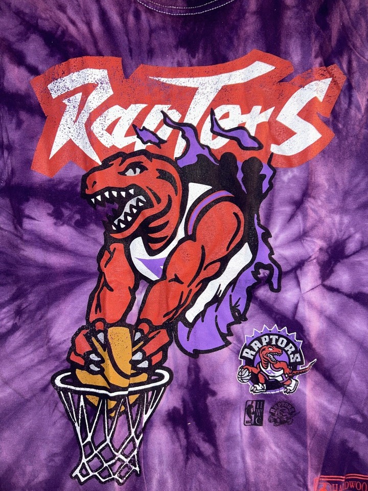 Toronto Raptors Retro T-Shirt, 90s Logo | eBay