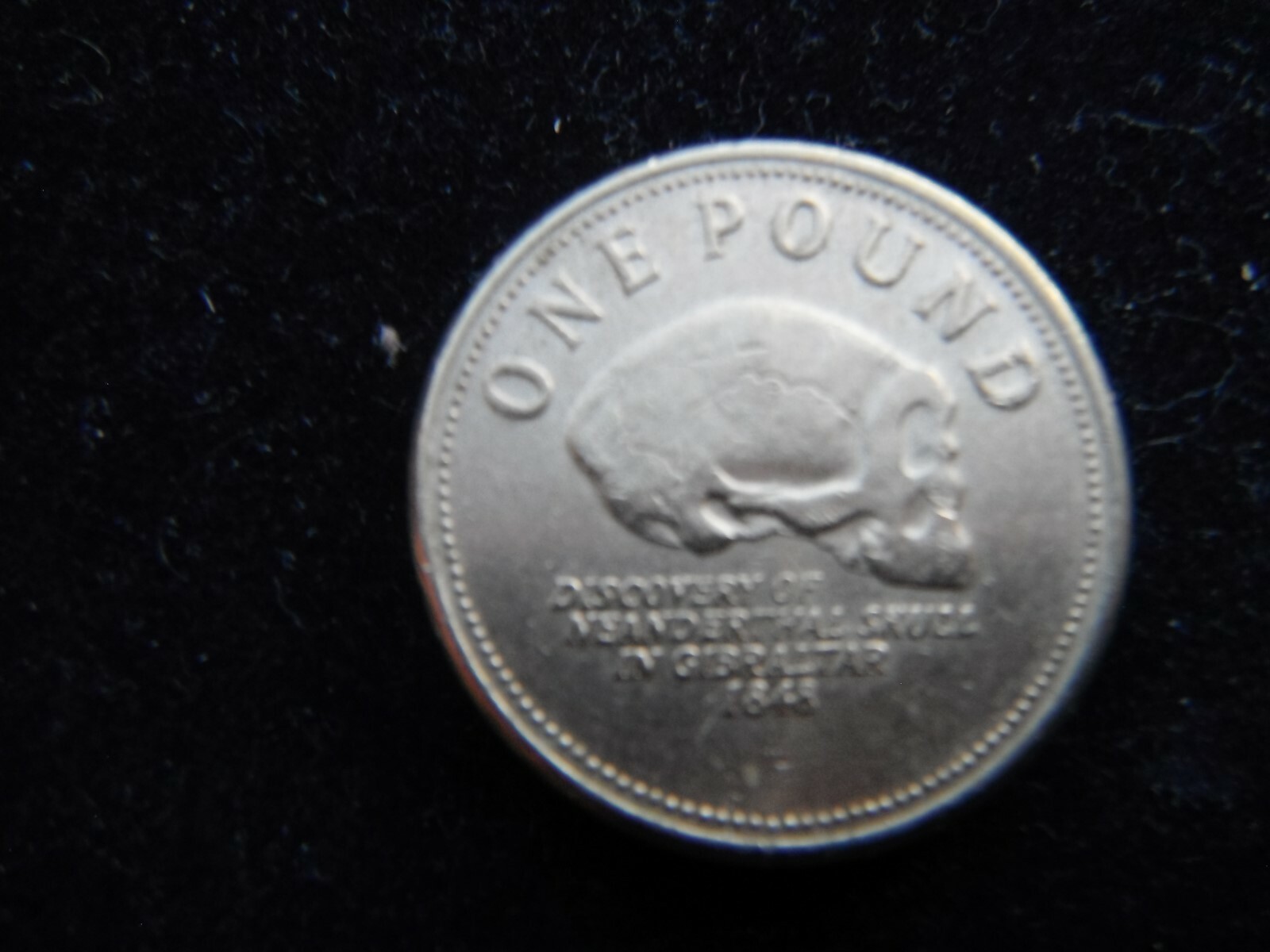 GIBRALTAR ONE POUND SKULL COIN 2012 VERY RARE-77- | eBay