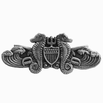 Coast Guard Badge Mini Enlisted Port Security Nice | eBay