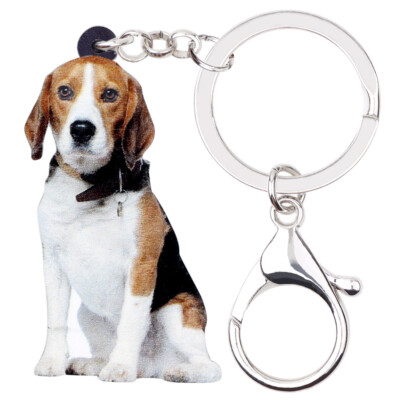 Acrylic Beagle Dog Keychains Pets Purse Key Chains Animals Jewelry ...