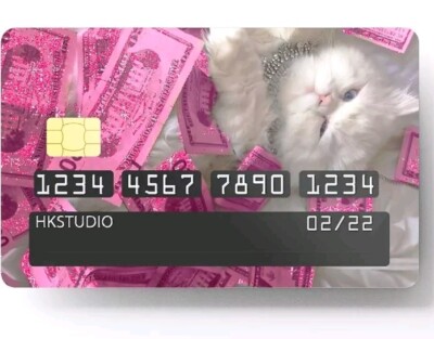 WHITE CAT PINK MONEY DOLLARS DEBIT/CREDIT CARD SKIN PROTECTOR FULL ...