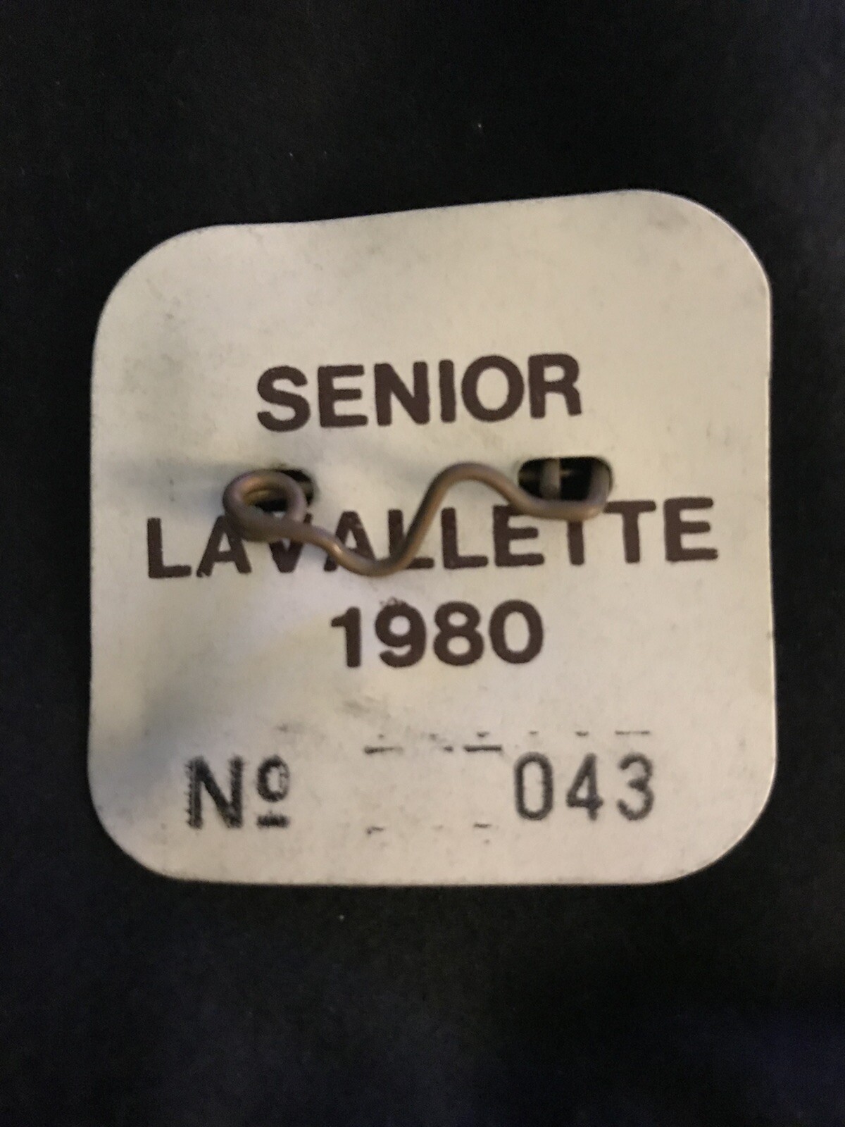 1980 RARE VINTAGE LAVALLETTE,NJ BEACH BADGE | eBay