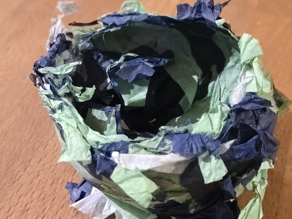 Super Bowl LX (60) Official Seahawks Confetti - FROM PATS EQUIPMENT! | eBay
