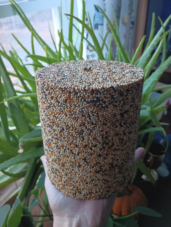 Large Seed Log Mold Kit! Make Your Own Amazing Seed Logs For Feeding ...