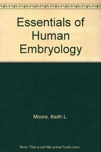 Essentials of Human Embryology - Paperback By Moore, Keith L - GOOD ...