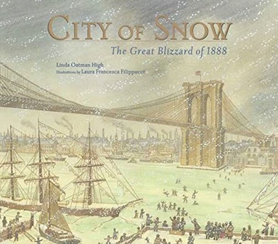 City of Snow: The Great Blizzard of 1888 | eBay