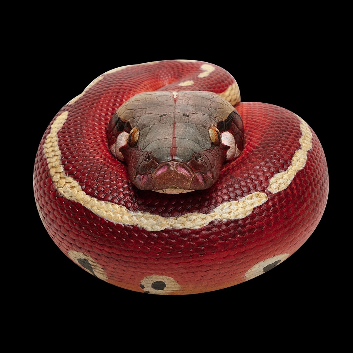 Animal Heavenly Body Blood Python brongersmai Snake Statue | eBay