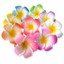 5cm Mini Plumeria Frangipani Flower Hair Clips. Orchids Summer Hawaiian ...
