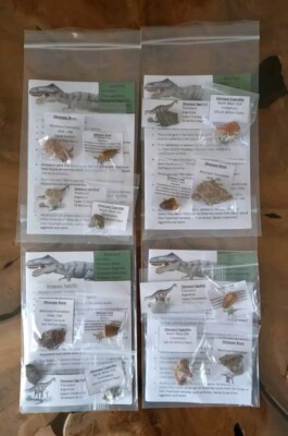Fossil Dinosaur Pack REAL Collection Fossils Egg Shell, Bone, Tooth ...