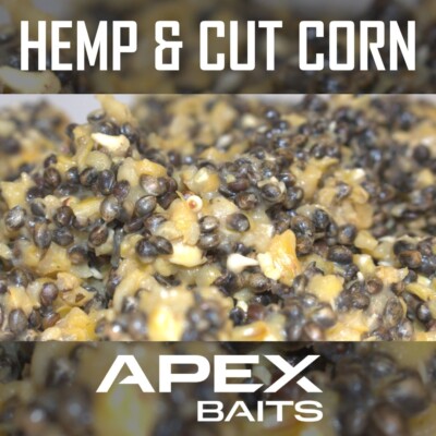 Cooked Hemp Seed and Cut Corn/Maize Carp Fishing Particle, Spod Mix 5 ...
