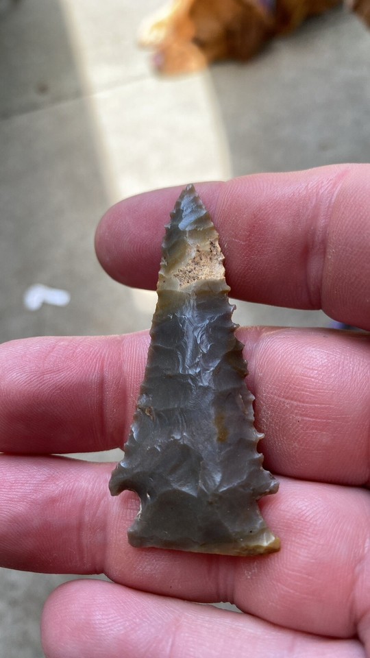 Beautiful Sonora chert Kentucky Pinetree arrowheads Indian artifacts | eBay