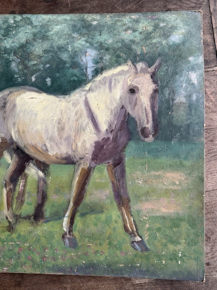 Studio Di Cavallo - Dipinto Fine Del XIX Secolo - Cavalli - Equestre | eBay