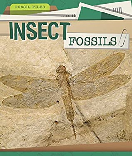 Insect Fossils Hardcover Barbara M. Linde 9781499428605| eBay