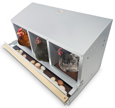 Poultry - Galvanized Metal