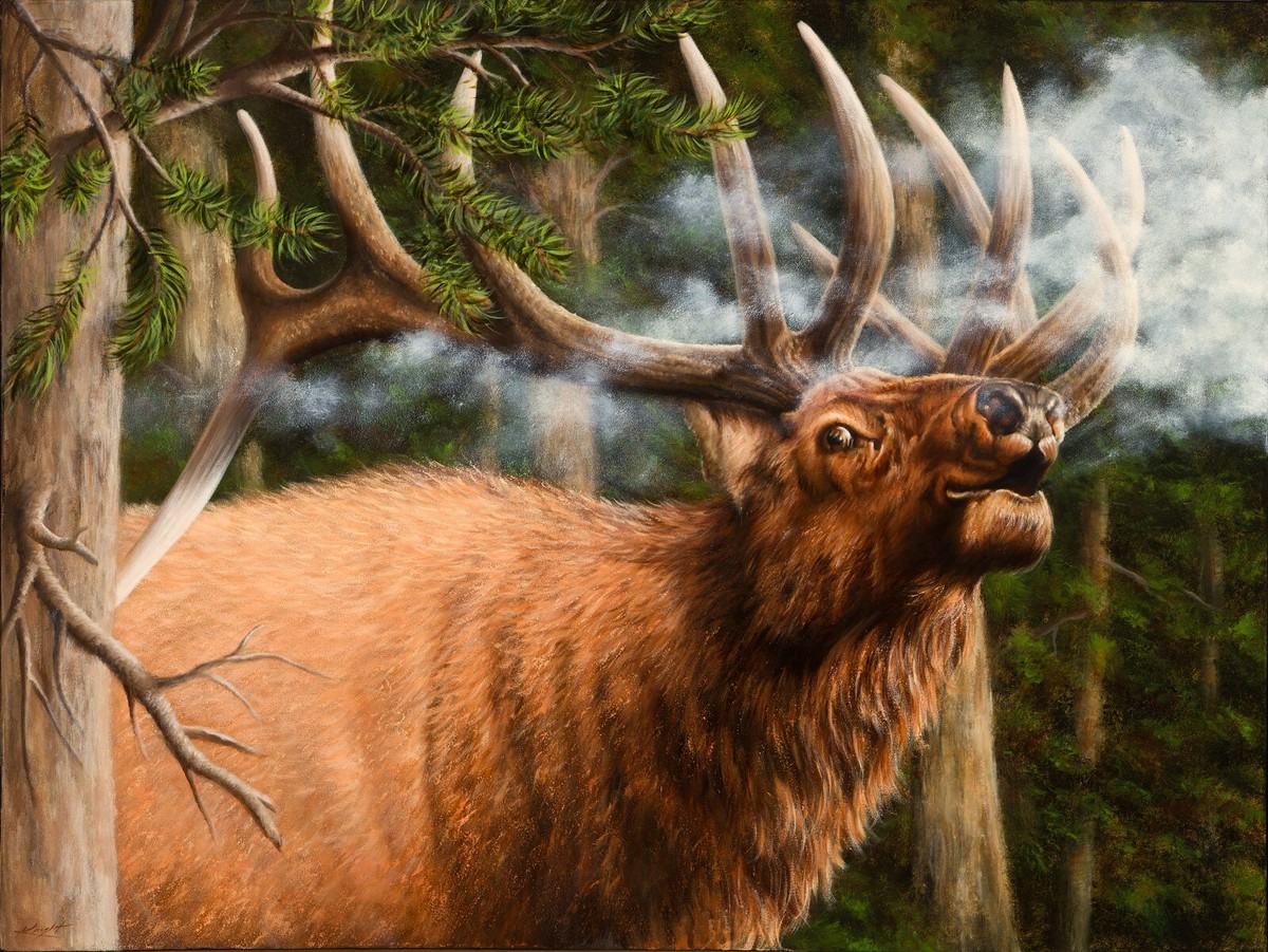 Elk Paintings