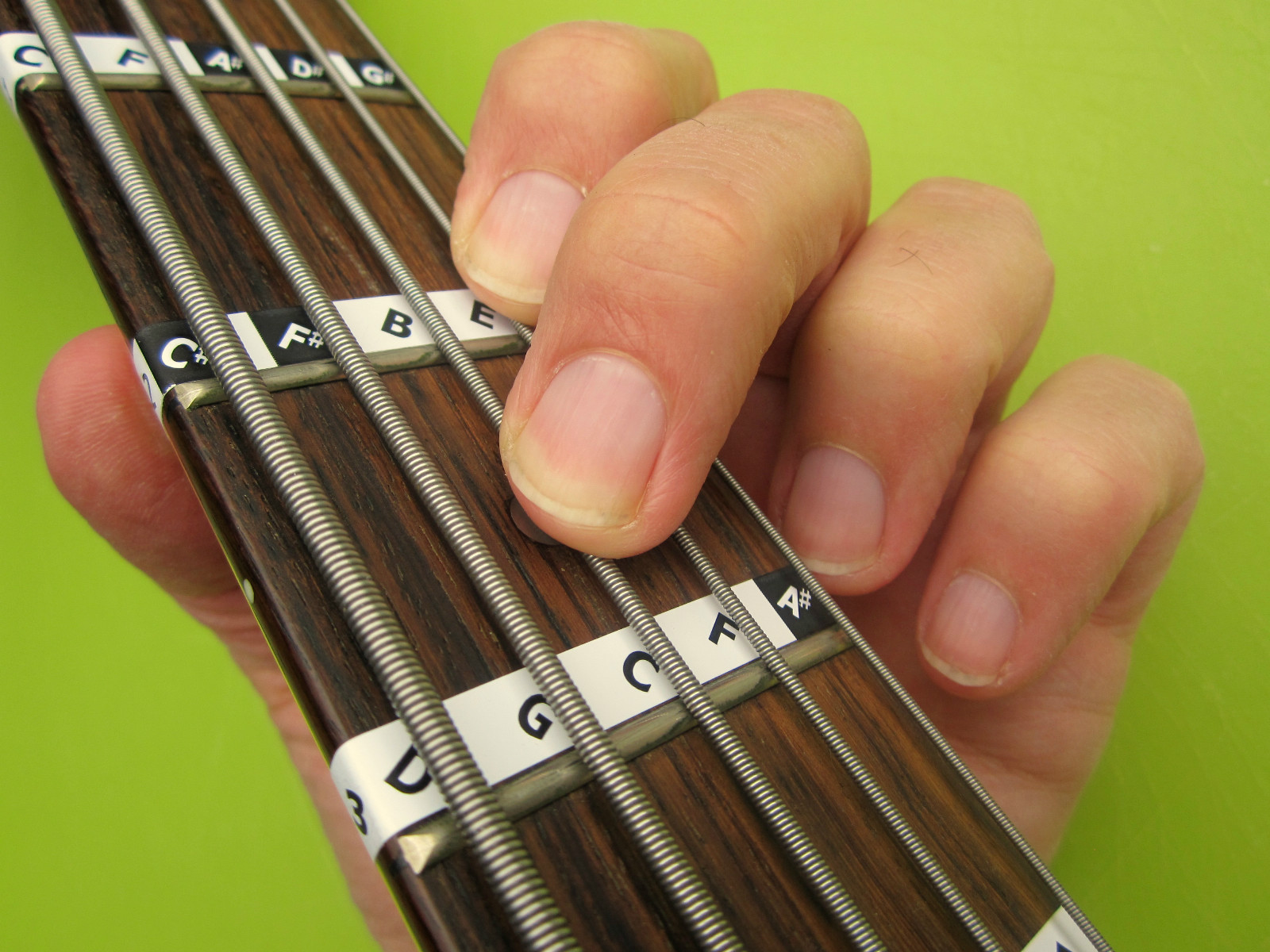 Bass Guitar String Bass Notes Ubicaciondepersonas cdmx gob mx