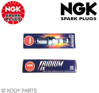 TR6IX [NGK IRIDIUM IX SPARK PLUGS] - Quantity: 2 Plugs | eBay Australia