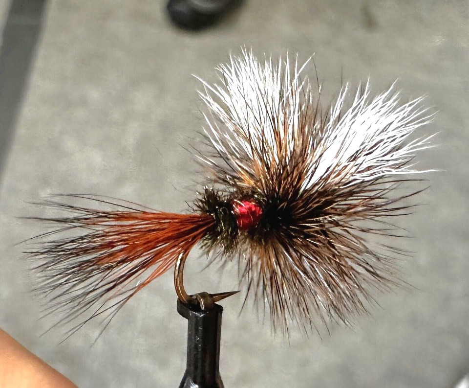 12 Mounted & Framed, Precision-Tied, Hairwing Dry Flies - In 11"x9 ...