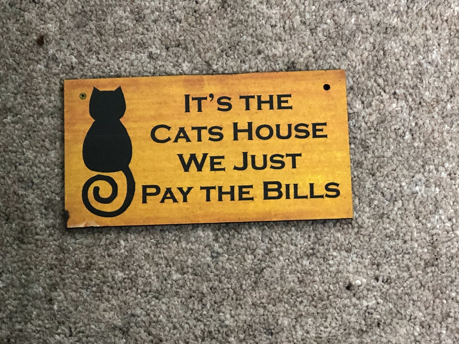 Funny Cat Signs by Image2 | eBay UK