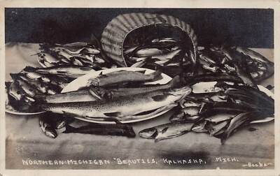 J82/ Kalkaska Michigan RPPC Postcard c1910 Beebe Fishing Catch Fish 247 ...