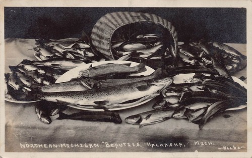 J82/ Kalkaska Michigan RPPC Postcard c1910 Beebe Fishing Catch Fish 247 ...