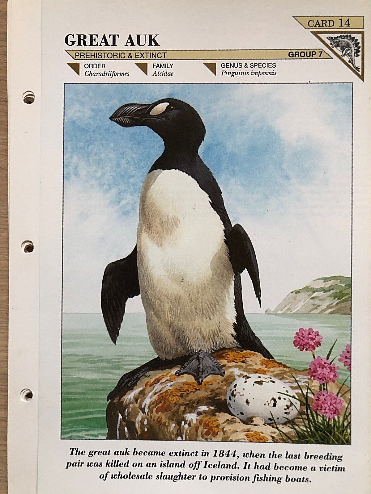 Wildlife-Fact-File-Extinct Animals-Wild Animals-School-Nature-From 1 to ...