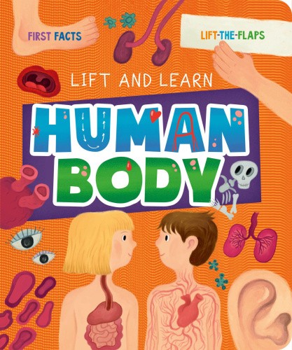My First Lift-the-Flap: Human Body (Lift & Learn) by Clever Publishing ...