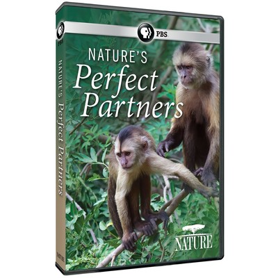 Nature: Nature's Perfect Partners [DVD] [*READ* Ex-Lib. DISC-ONLY ...