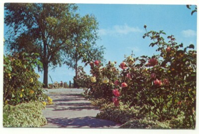 Valparaiso IN Strongbow Turkey Farm & Inn Roses Postcard ~ Indiana | eBay
