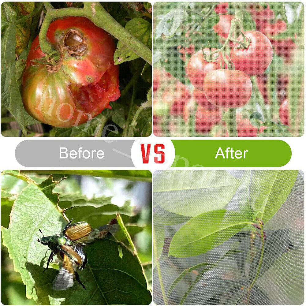 AU Fruit Fly Net Insect Mesh Vegetable Garden Plant Crop Protection ...
