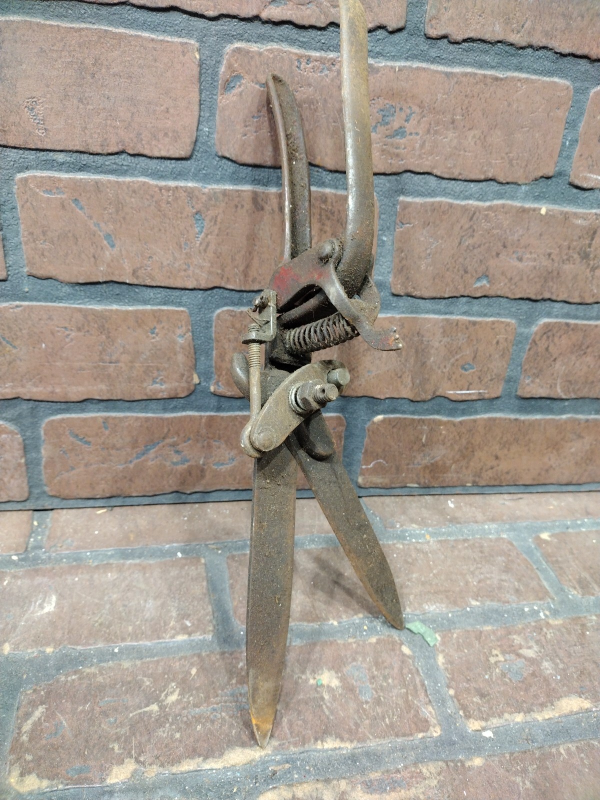 Vintage Grass Yard Lawn Garden Clippers Pruning Shears Snips | eBay