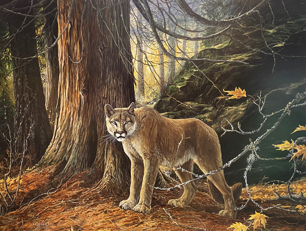 Lisa Calvert - Chance Encounter - 2950 S/N Ltd Edition Print size 22-1/ ...