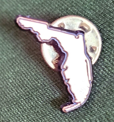 Nice 1/2" Miniature Plastic Hat Lapel Pin Florida | eBay