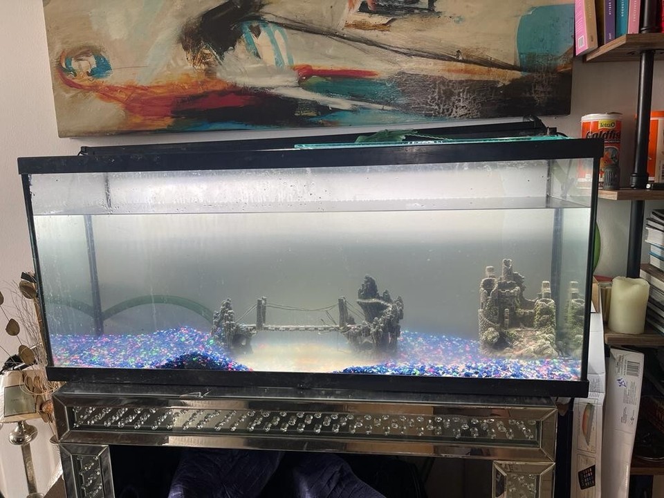 55 Gallon Fish Tank Aquarium with $$$ Accessories 48x21x13 in FISH ...