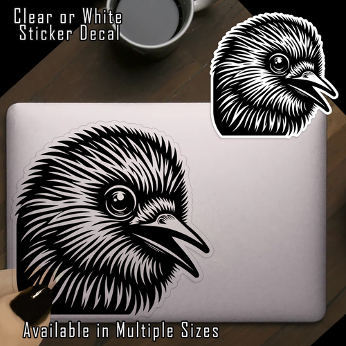 Kiwi Vinyl Decal Sticker Indoor Outdoor 4 Sizes | eBay