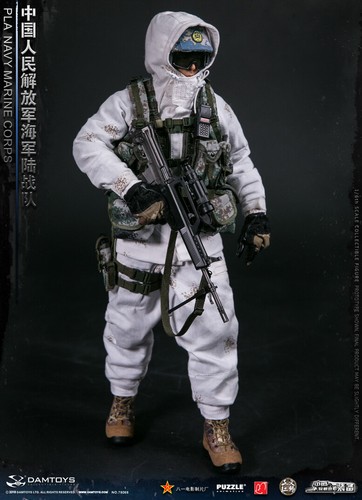 Damtoys 78068 1/6 Chinese PLA Navy Marine Corps figure | eBay