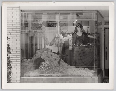 Sheridan & Bell Flower Shop 8x10 Photo Window Display Birdcages San ...