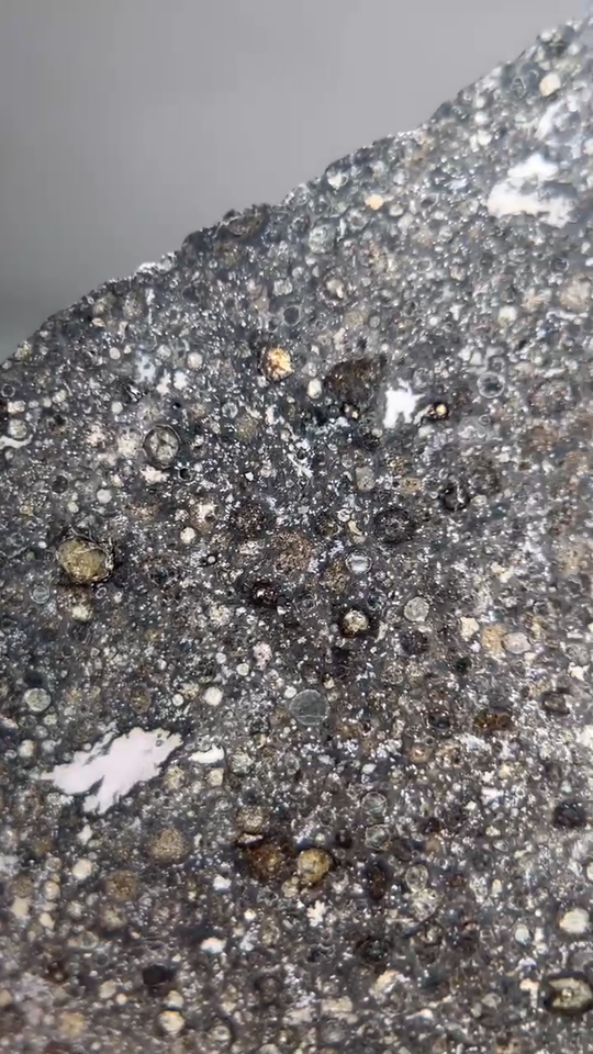 Allende CV3 Meteorite First meteorite with alien proteins Stone ...