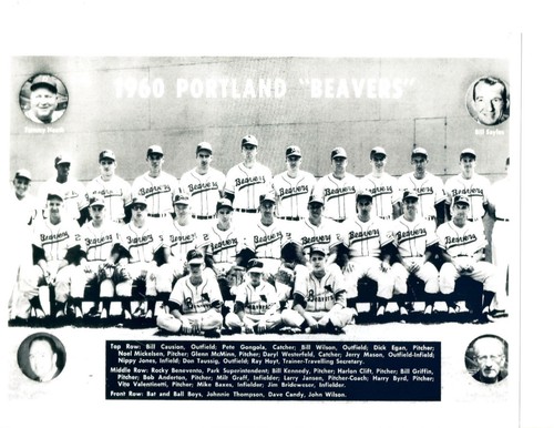 1960 PORTLAND BEAVERS PCL TEAM 8X10 PHOTO BASEBALL AAA OREGON | eBay