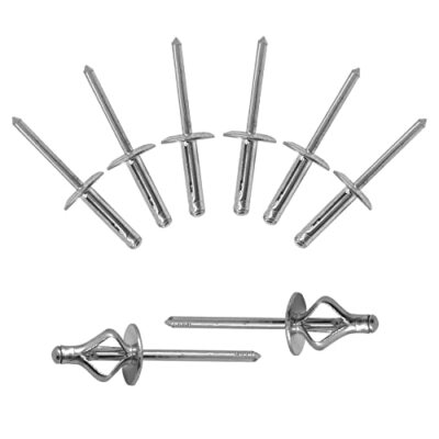 Rivets - Large Flange Pop Rivets