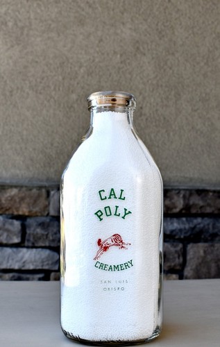 CAL POLY CREAMERY 2 Color Half Gallon Milk Bottle SAN LUIS OBISPO ...